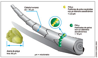 Nuevos filtros de habitáculo Mann contra partículas peligrosas ...